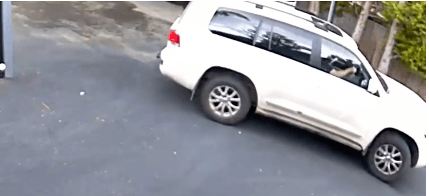 Lavea i le taavale a o taumafai atu e taofi le au gaoi